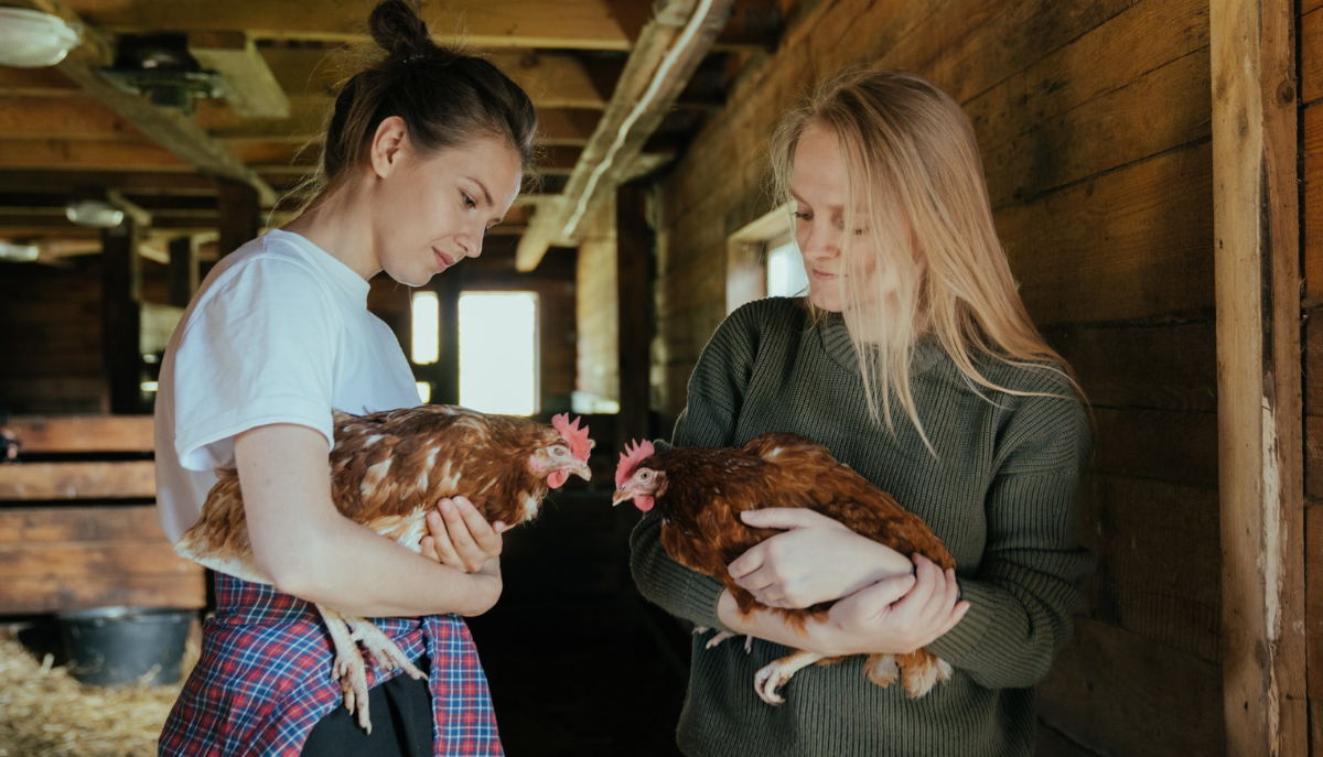 Southern Women in Agriculture Workshops build confidence among female ...